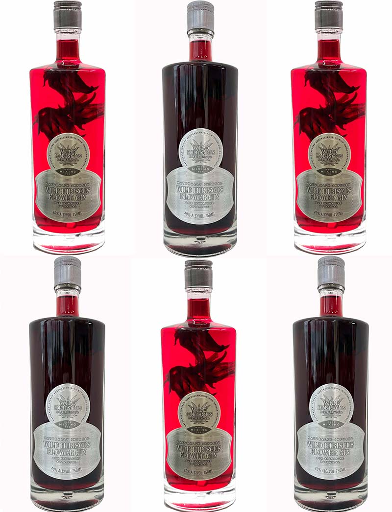 Wild Hibiscus Flower & Ginger Gin Case Buy 5 get 1 – Gingle Bells Gin